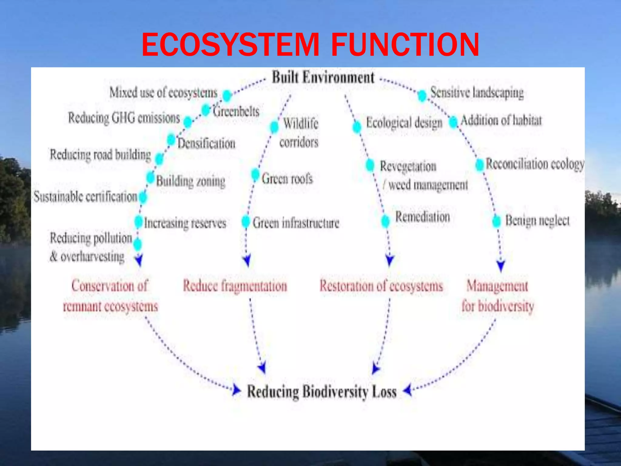 Ecosystem Restoration restore ecosystem | PPTX