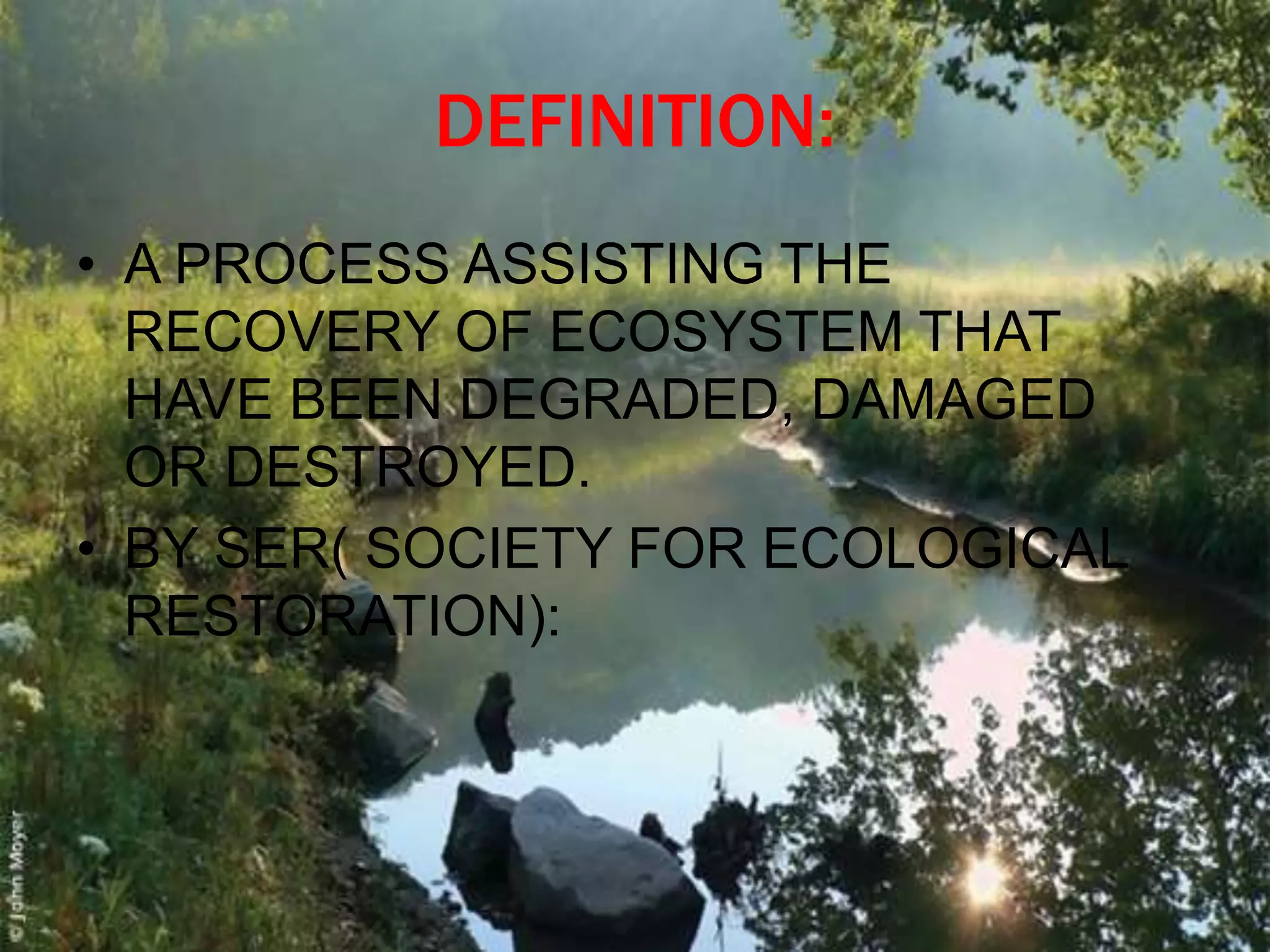 Ecosystem Restoration restore ecosystem | PPTX