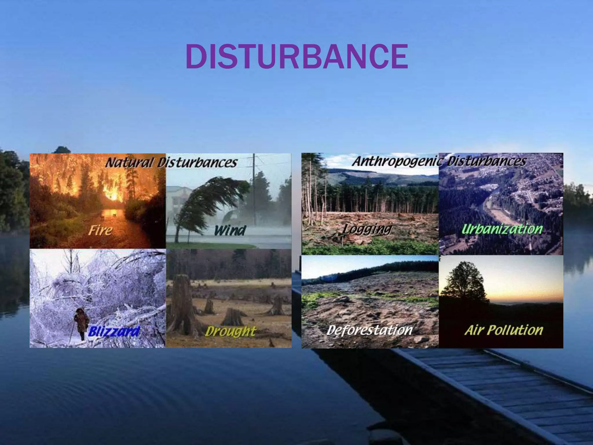 Ecosystem Restoration restore ecosystem | PPTX