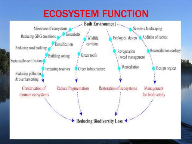 Ecosystem Restoration restore ecosystem | PPTX