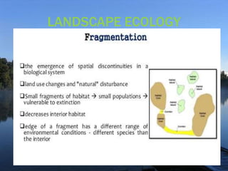 Ecosystem Restoration restore ecosystem | PPTX