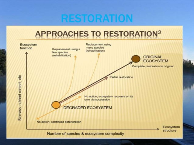 Ecosystem Restoration restore ecosystem | PPTX