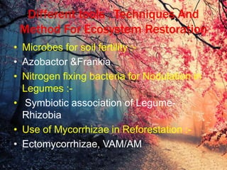 Ecosystem Restoration restore ecosystem | PPTX