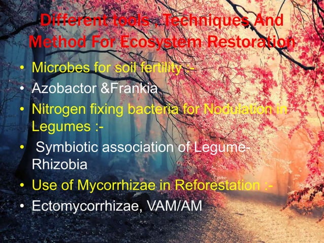 Ecosystem Restoration restore ecosystem | PPTX