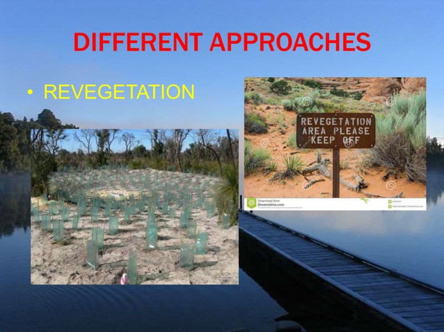 Ecosystem Restoration restore ecosystem | PPTX