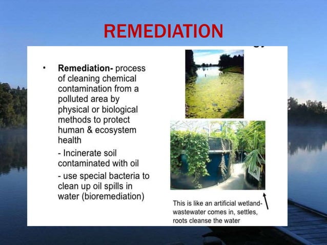 Ecosystem Restoration restore ecosystem | PPTX