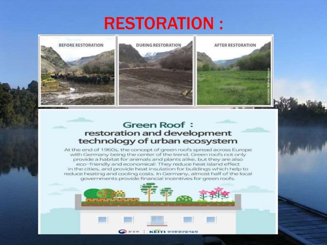 Ecosystem Restoration restore ecosystem | PPTX