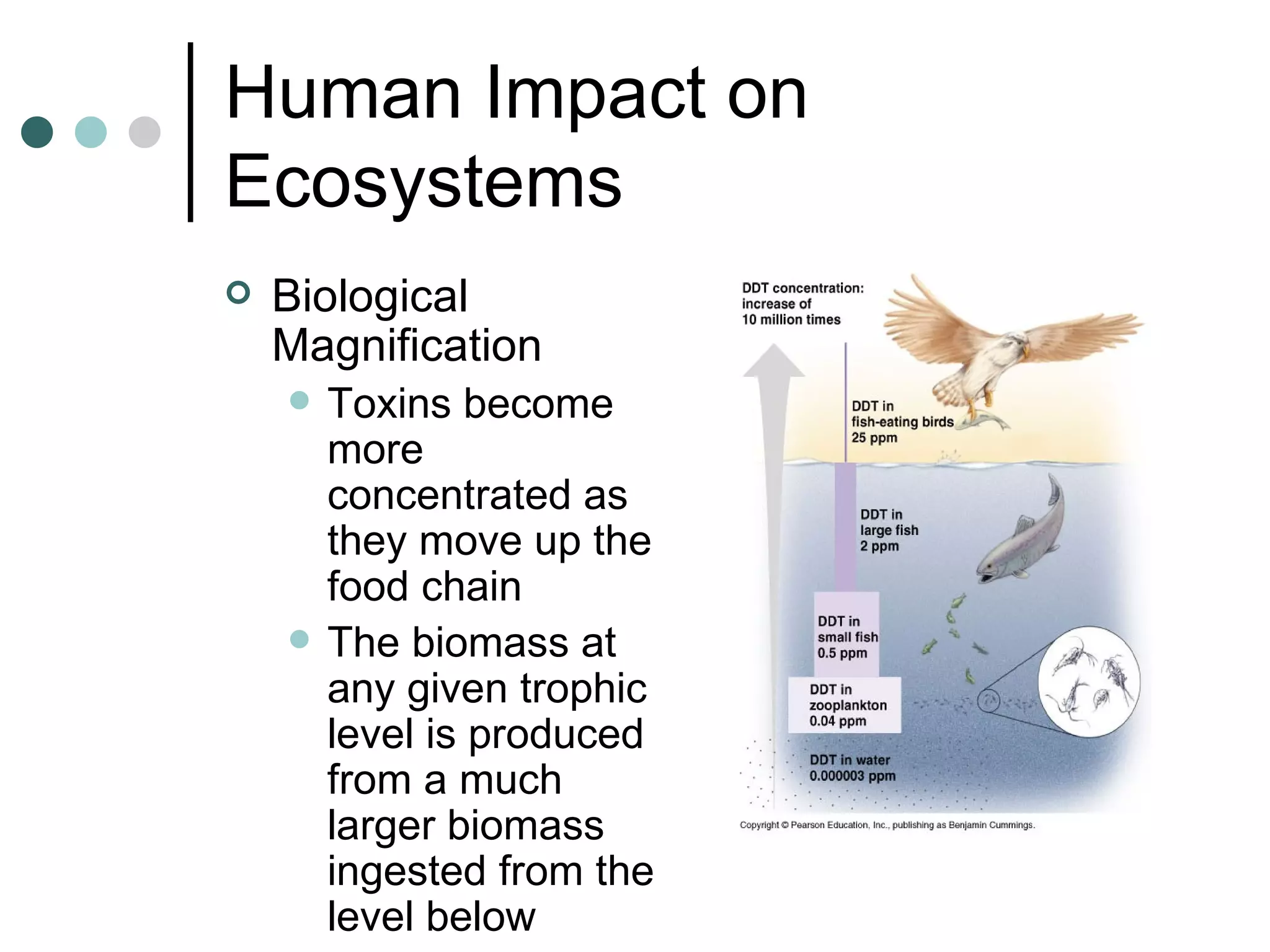 Ecosystems | PPT
