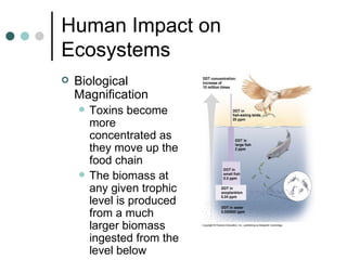 Ecosystems | PPT | Environment | Science