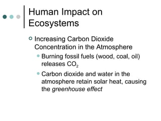 Ecosystems | PPT | Environment | Science