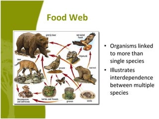 Ecosystems | PPT