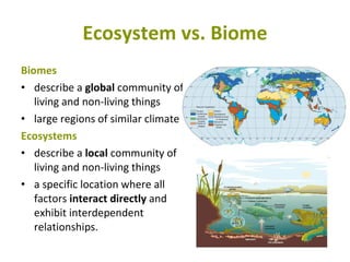 Ecosystems | PPT