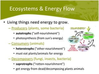 Ecosystems | PPT