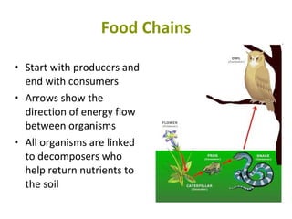 Ecosystems | PPT