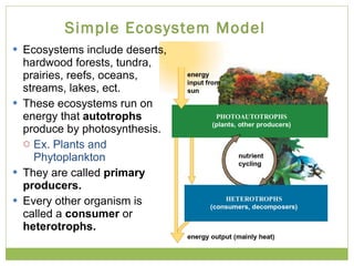 Ecosystems | PPT
