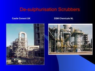 Ecosystems general overview | PPT