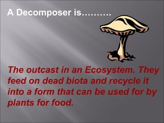 Ecosystems | PPT