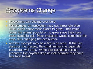 Ecosystems | PPT | Geography | Science