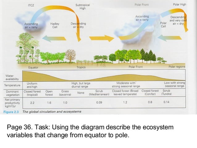 Ecosystems | PPT