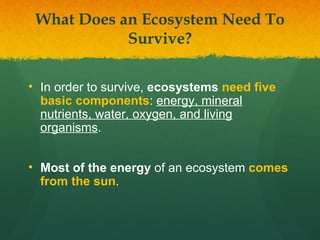 Ecosystems | PPT