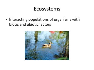 Ecosystems | PPTX
