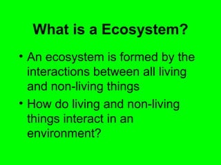 Ecosystems | PPT