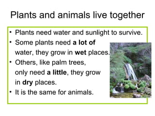 Ecosystems | PPT | Geography | Science