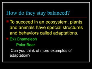 Ecosystems | PPT