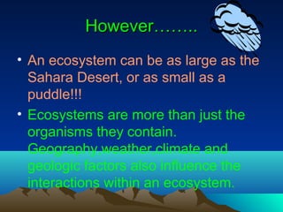 Ecosystems | PPT