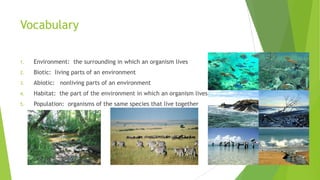 Ecosystems | PPT