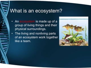 Ecosystems | PPT