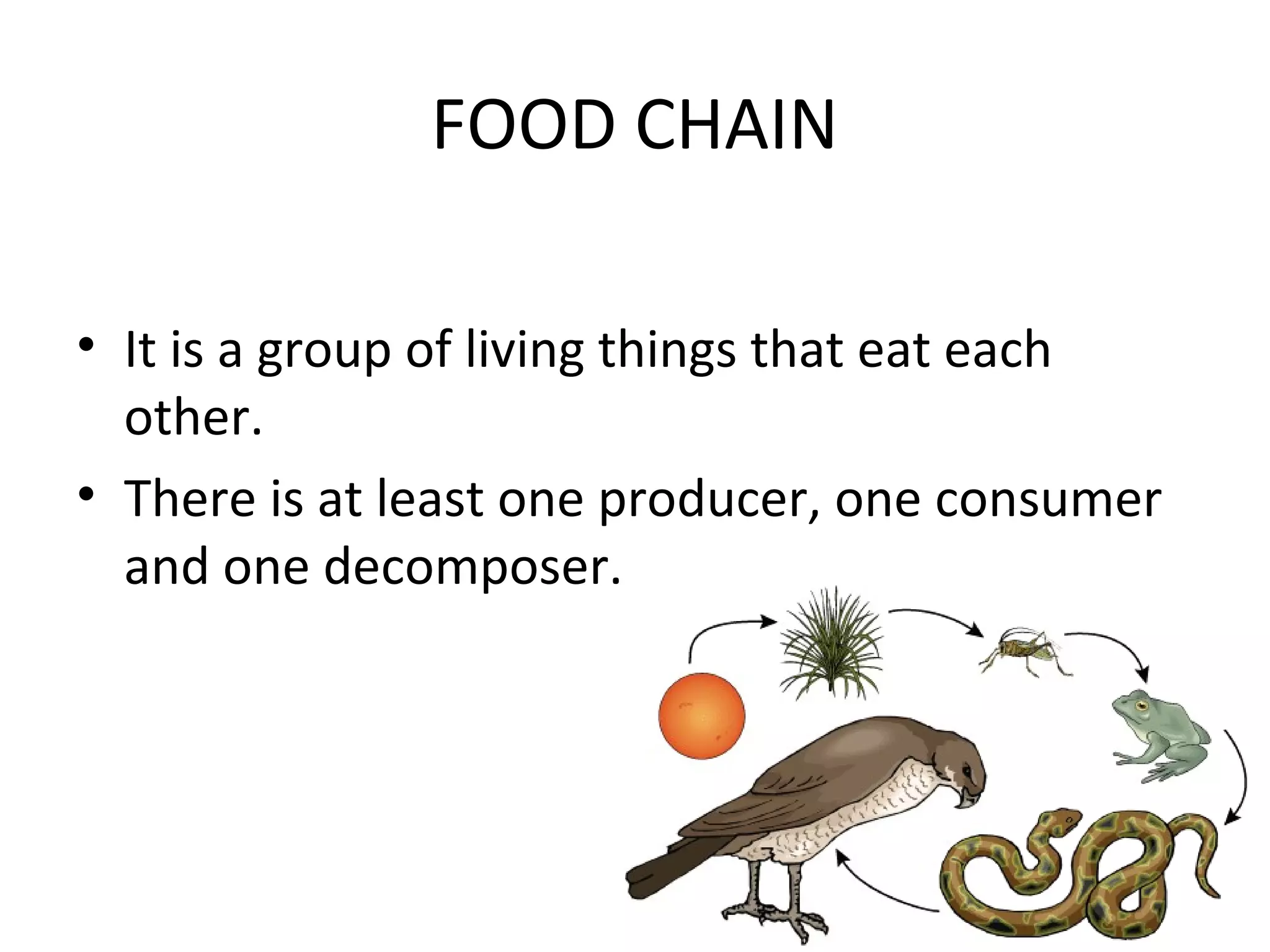Ecosystems | PPT
