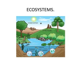 Ecosystems | PPT