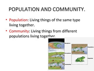 Ecosystems | PPT