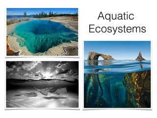 Ecosystems | PPT