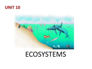 Ecosystems | PPT
