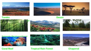 Ecosystems | PPT