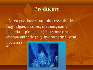 Ecosystems | PPT
