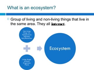 Unit 2. Ecosystems | PPT