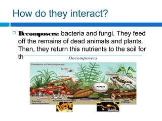 Unit 2. Ecosystems | PPT