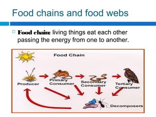 Unit 2. Ecosystems | PPT | Geography | Science