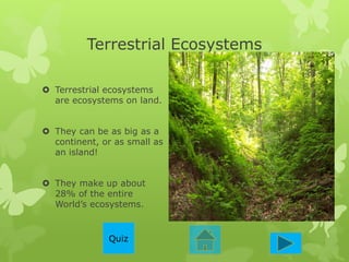 Terrestrial Ecosystems Examples