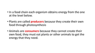 Ecosystems | PPT