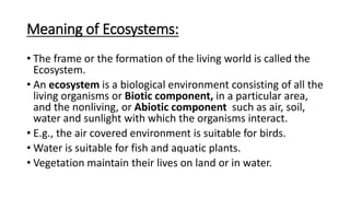 Ecosystems | PPSX