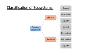 Ecosystems | PPSX