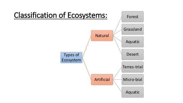 Ecosystems