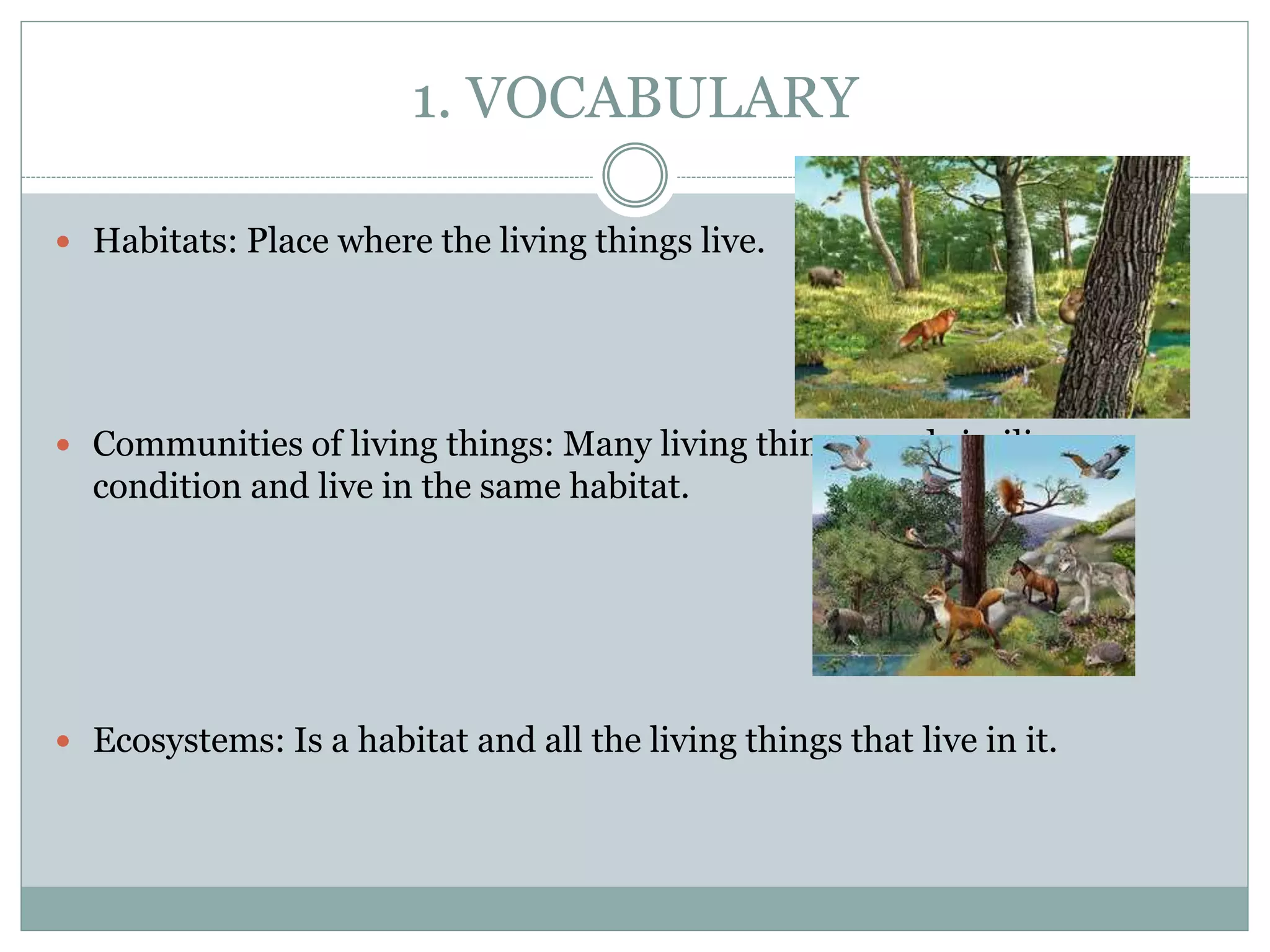 Ecosystems | PPTX | Geography | Science