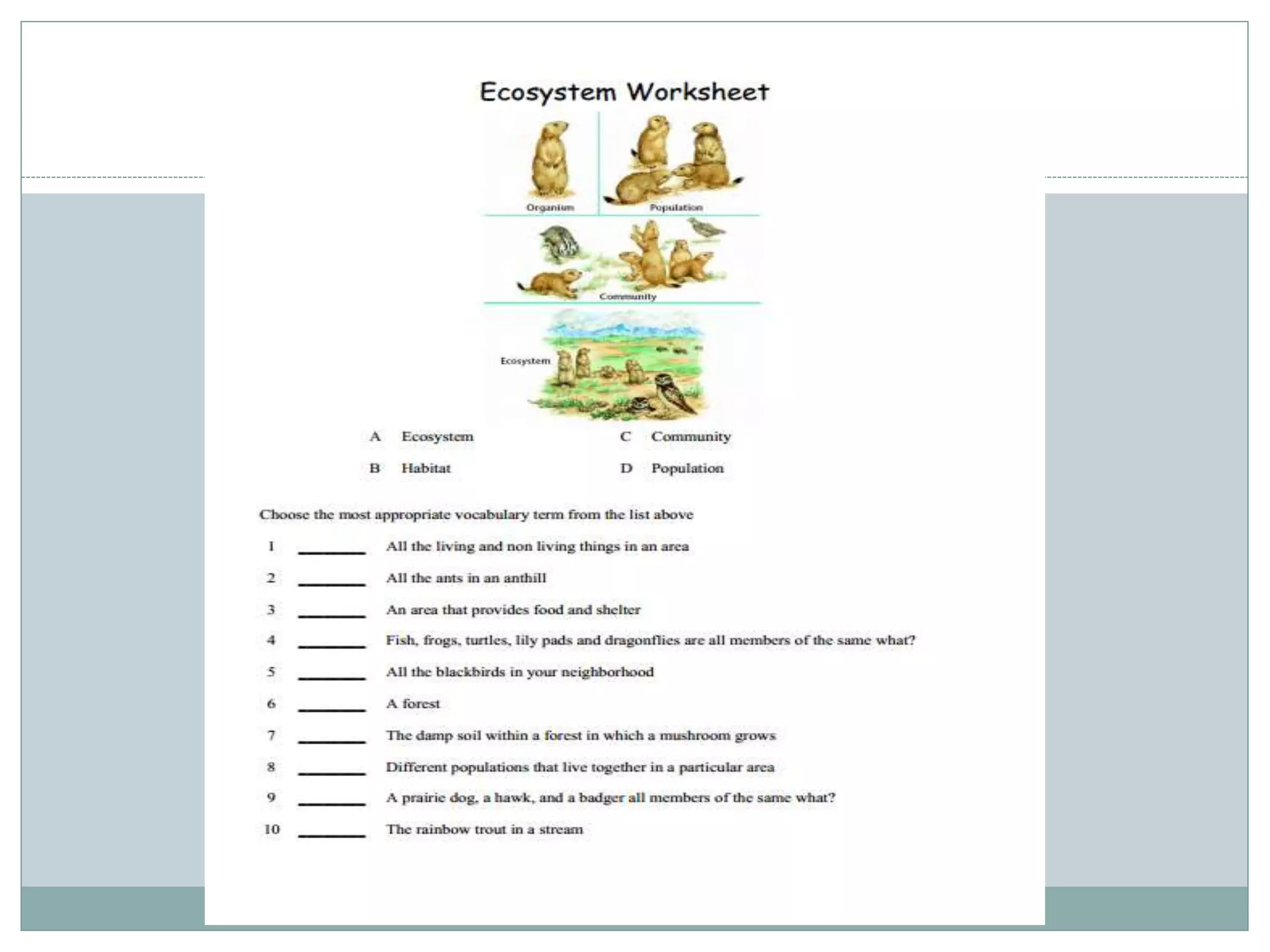 Ecosystems | PPTX | Geography | Science