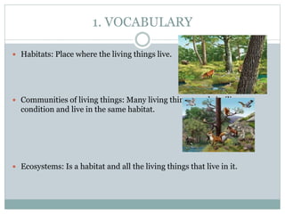 Ecosystems | PPTX | Geography | Science