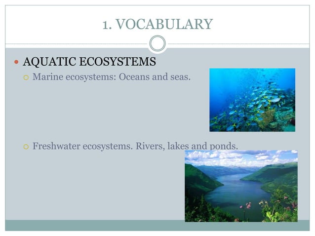 Ecosystems | PPTX | Geography | Science